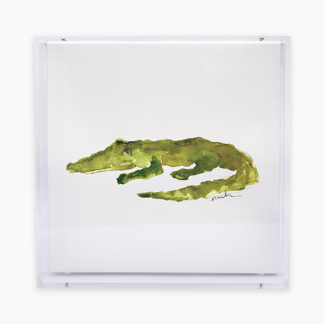 Alligator Acrylic Shadow Box Print – Anne Neilson Home