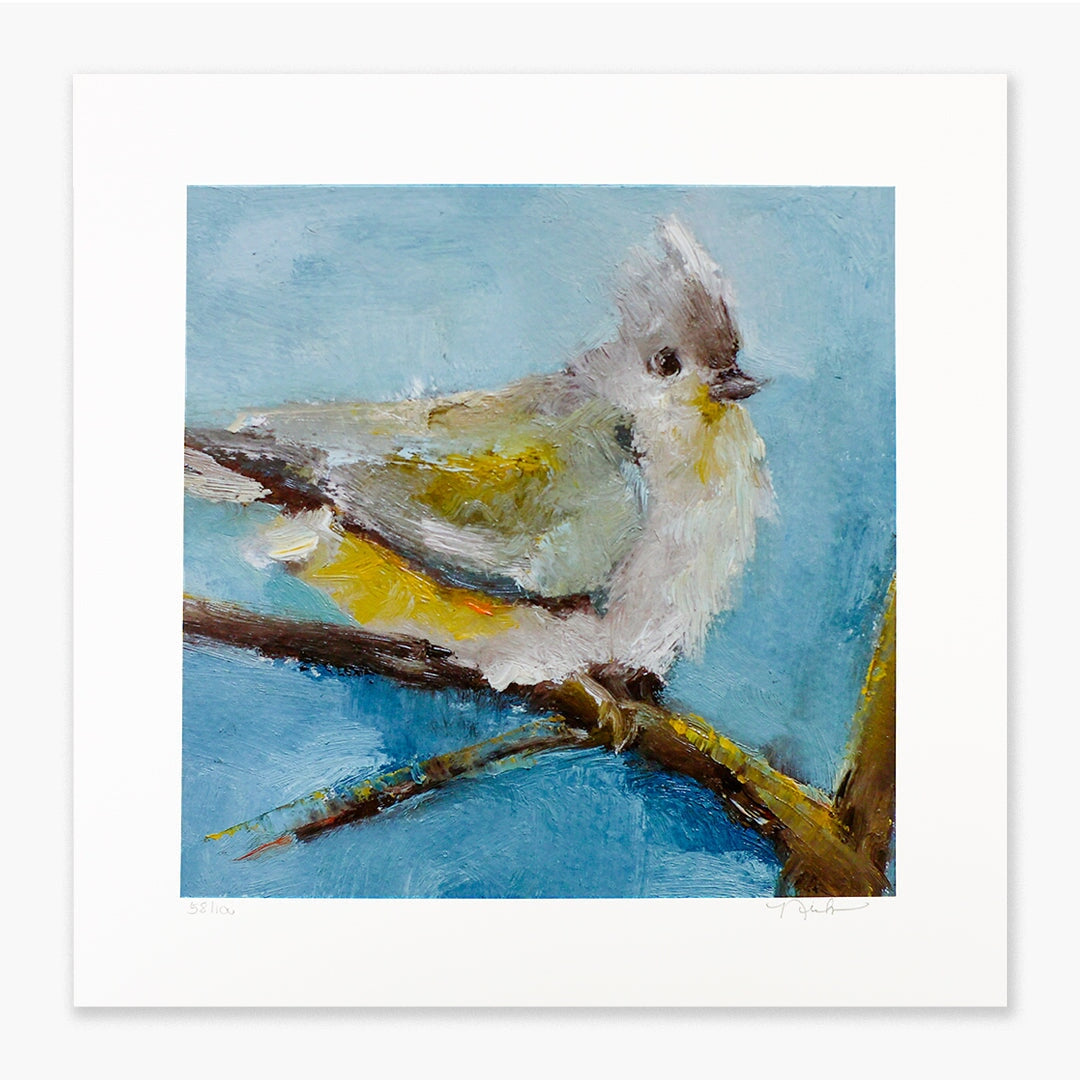 Limited Edition Signed "Robin" Print – Anne Neilson Home