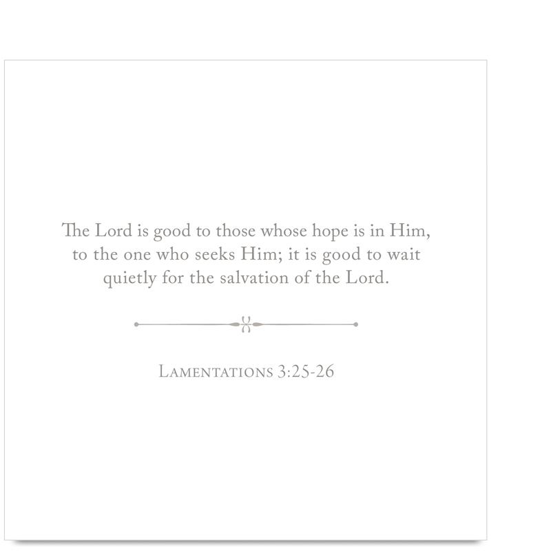 Home [anneneilsonhome.com]